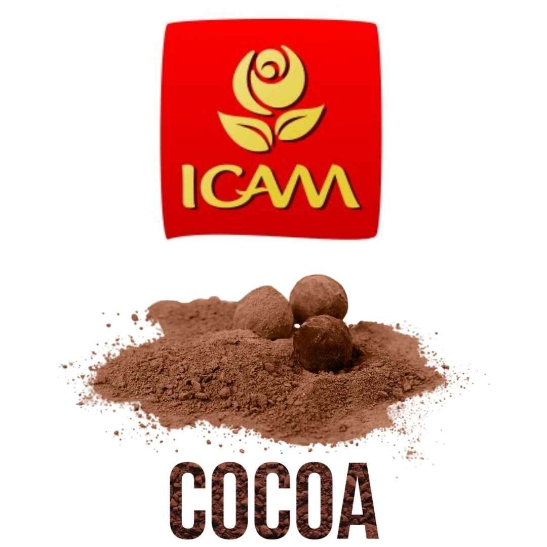 Какао алкализованный (1кг) ICAM 22-24% (Италия), цена в Алматы от ...
